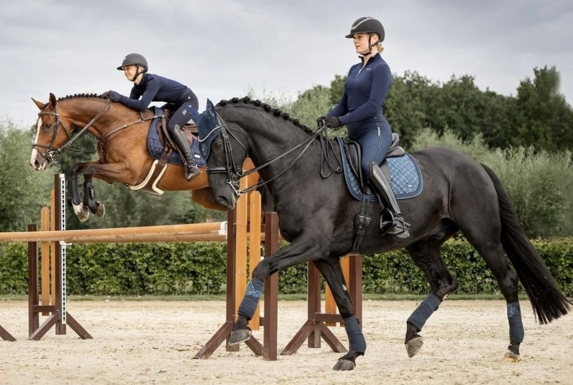 Ruiter – Paulissen Paardensport